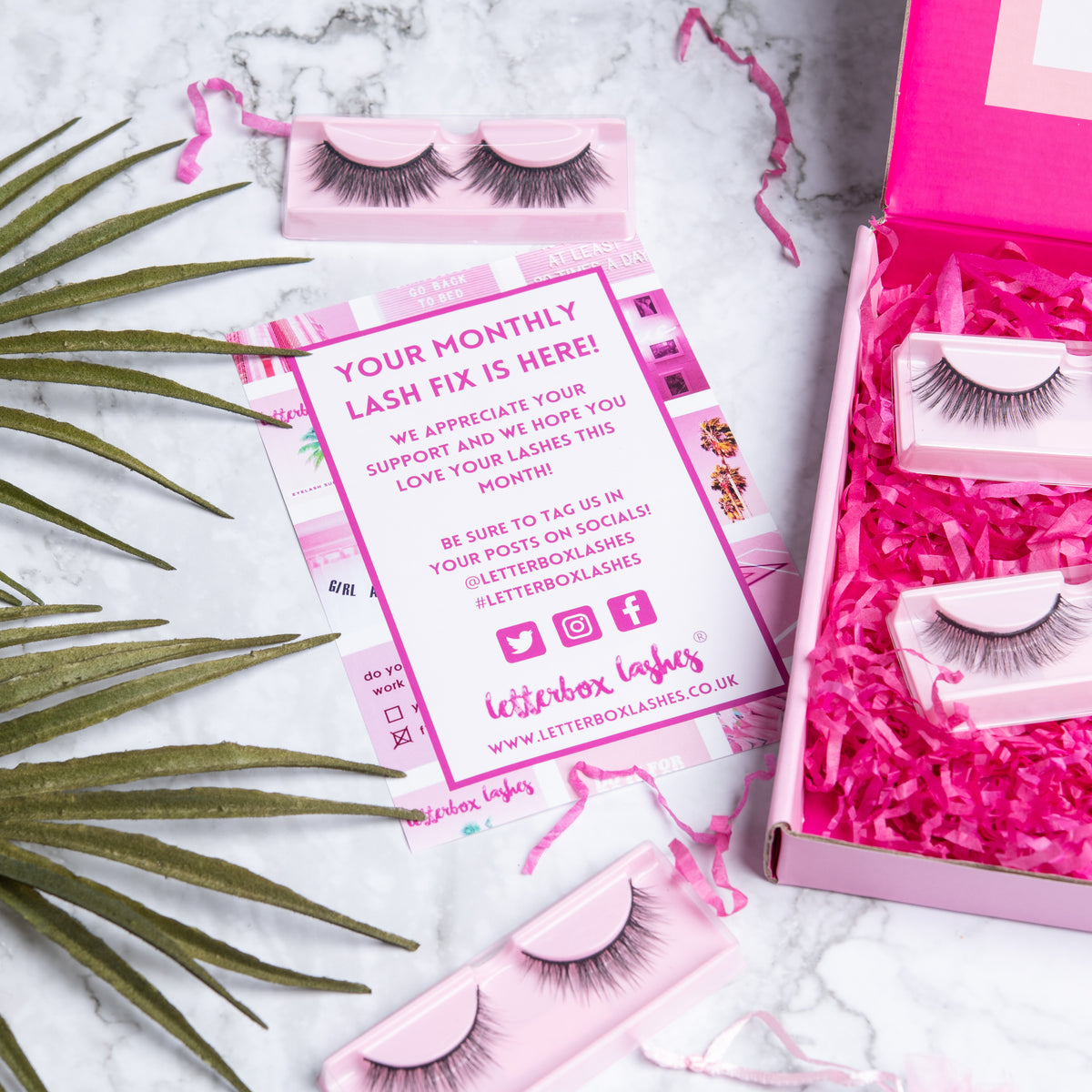 Day and Night Box - 3 Month Upfront – Letterbox Lashes